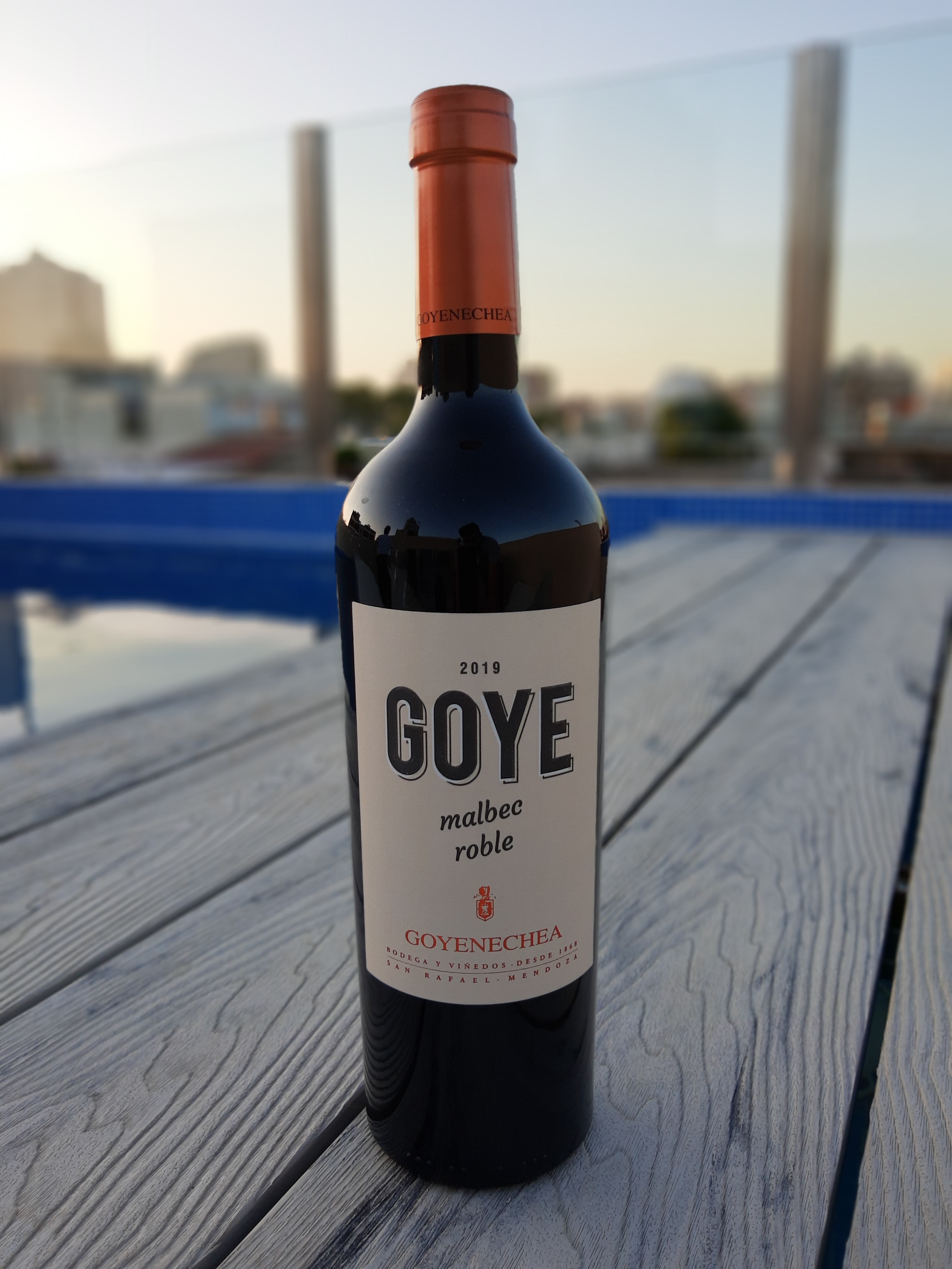Goye Malbec Roble 2019 – Bodega Goyenechea – GPS VINOS